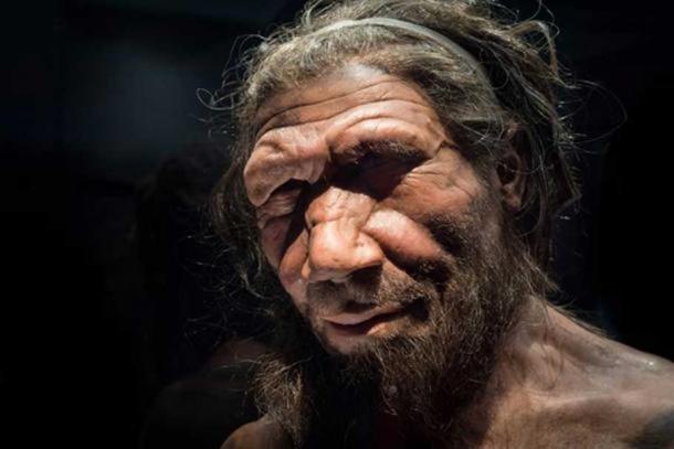 Forschung bestätigt, dass die DNA der Neandertaler etwa 20% des ...